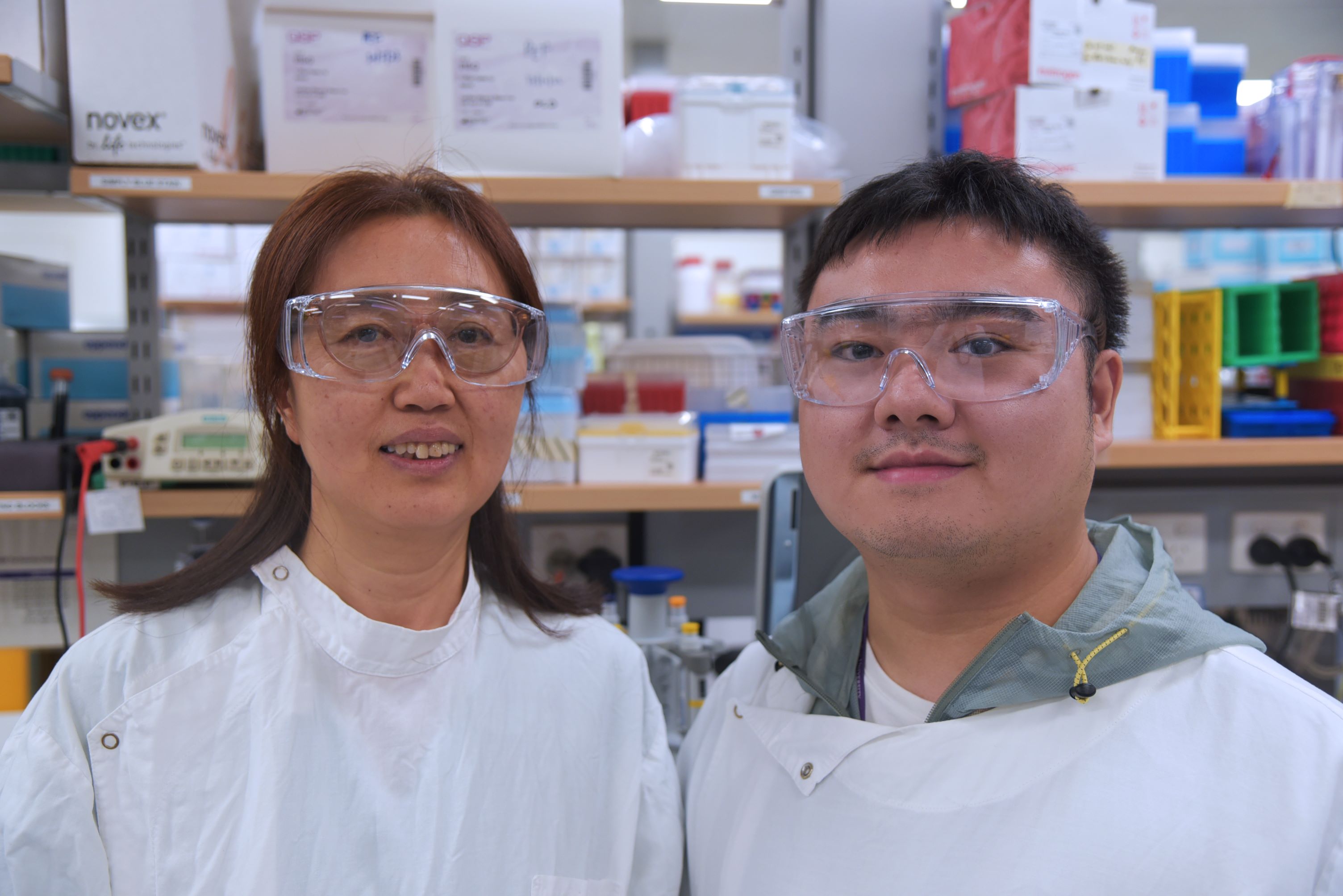 Estrogen: a therapeutic option for low back pain and osteoarthritis pain? - Australian Institute ...